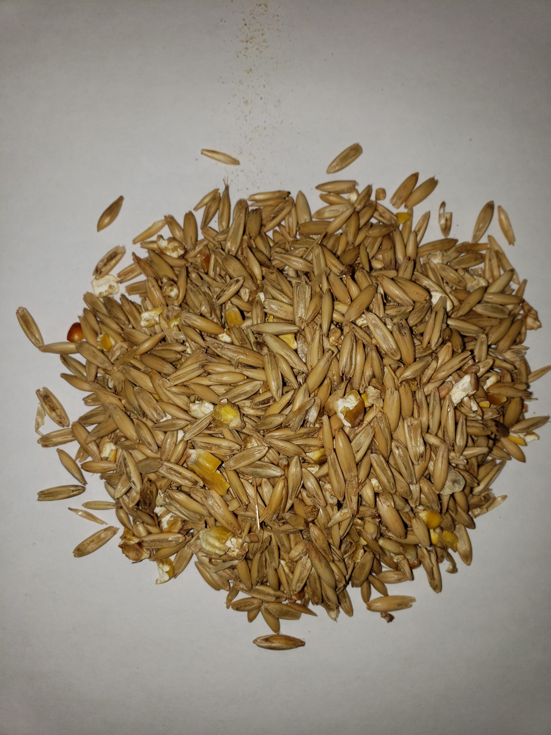 80/20 Rolled Oat Blend - Fehrway Feeds & Livestock Equipment