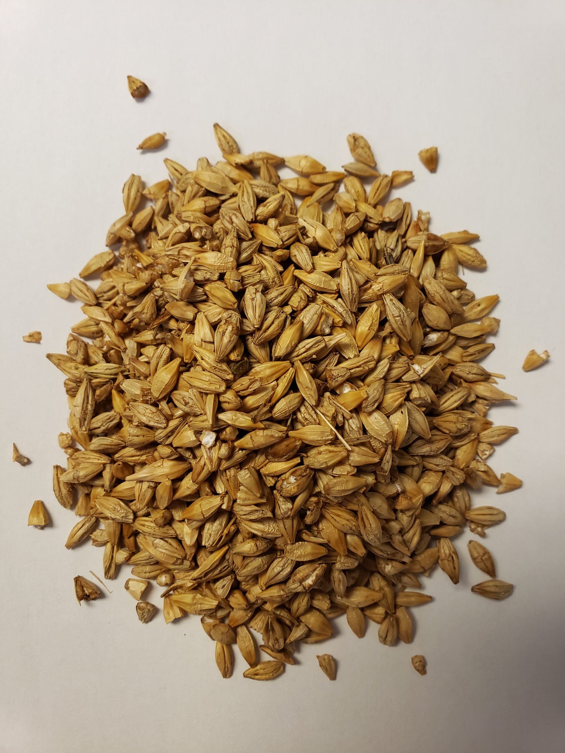 Rolled Barley - Fehrway Feeds & Livestock Equipment