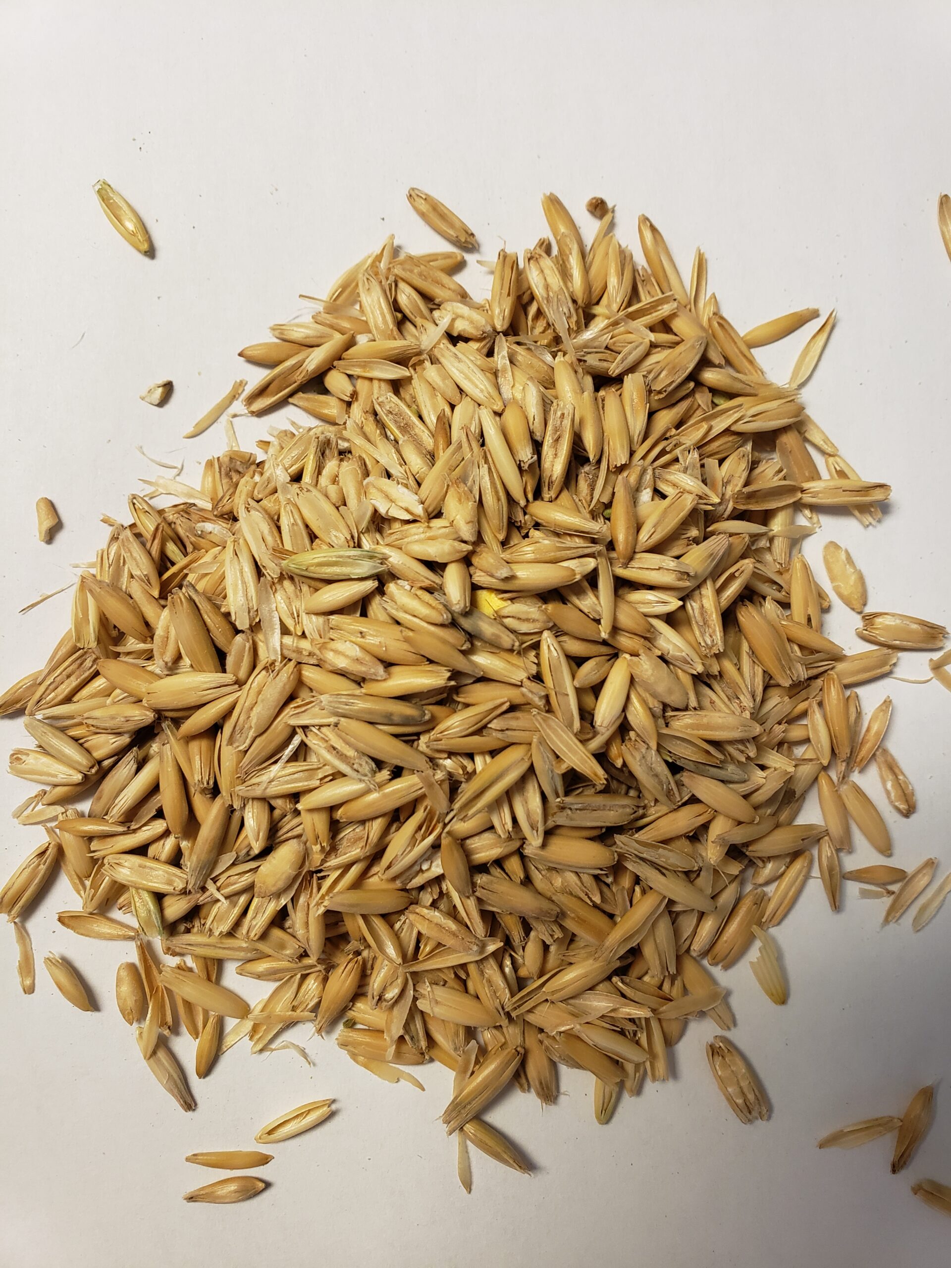 Rolled Oats - Fehrway Feeds & Livestock Equipment